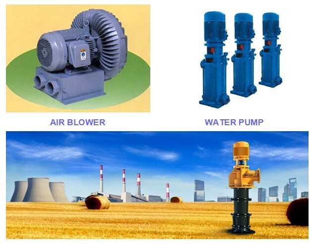 RSCI70 (Sprag Type Freewheel) One Way Overrunning Clutch RSCI (CKF-A ...